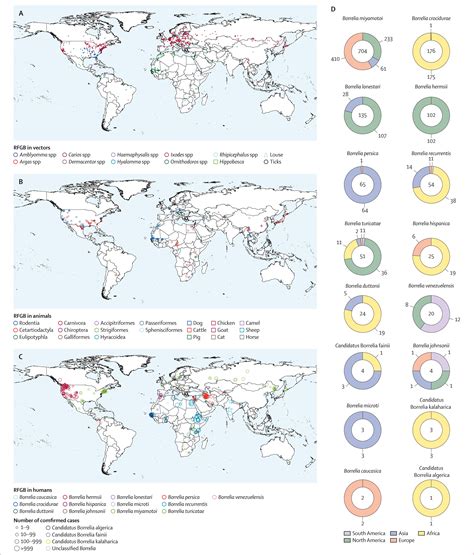 The Global Distribution And The Risk Prediction Of Relapsing Fever