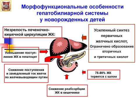 Пороки развития и заболевания желчных протоков и желчного пузыря у детей презентация онлайн