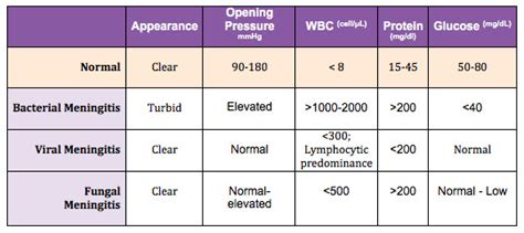 Fungal Meningitis Csf
