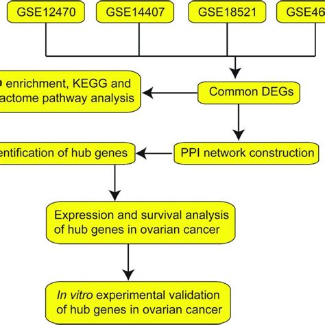 Workflow Of The Bioinformatics Analysis Download Scientific Diagram Workflow Of The Bioinformatics Analysis Download Scientific Diagram