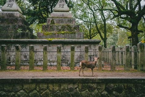 Why Does My Computer Keep Scrolling To The Right