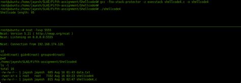 Analyzing Shellcode 4 Reverse Engineering For Fun And Profit