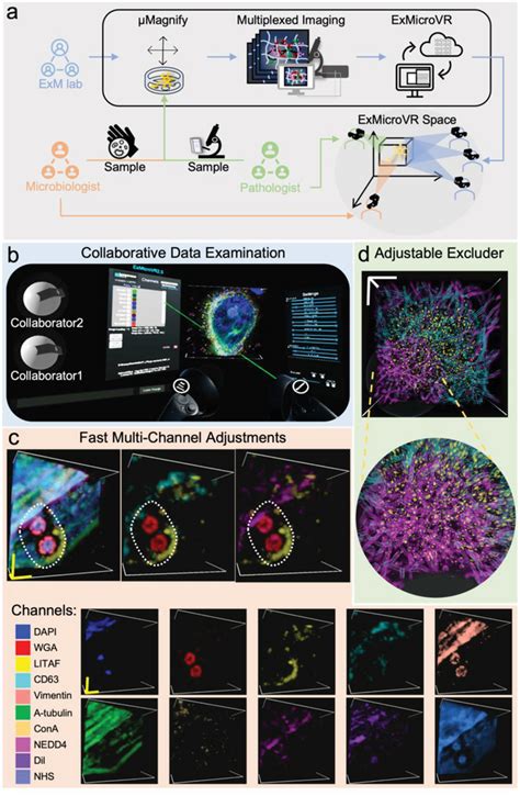immersive visualization of multiplexing data and collaboration through download scientific