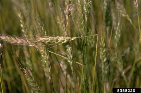 ЦАГ УУРЫН НӨХЦӨЛӨӨС ШАЛТГААЛСАН Агротрейд Импекс ХХК Facebook