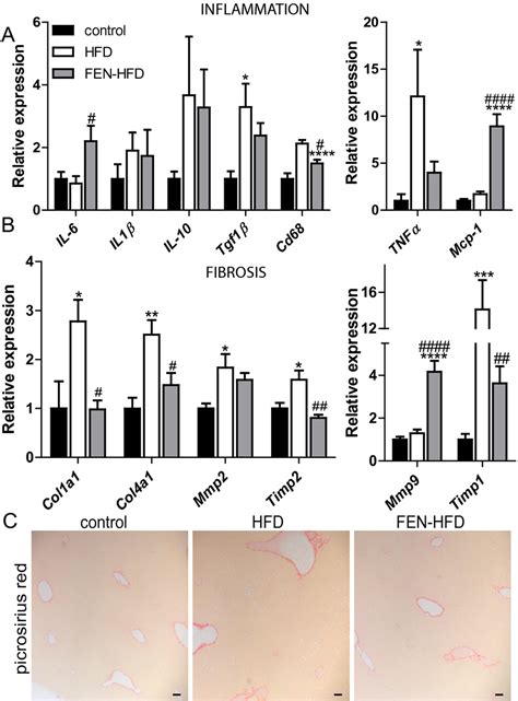 Fenretinide Alters Pro Inflammatory And Fibrotic Gene Expression In