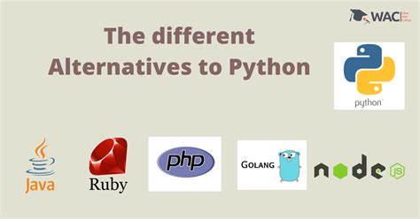 What Are The Different Alternatives To Python What After College