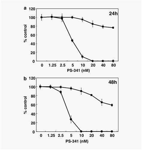 Plot HD Png Download Transparent Png Image PNGitem