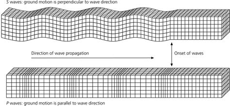Illustration Of Ground Motions Produced By Compressional P Wave And Download Scientific