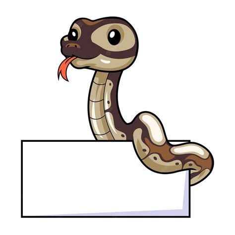 Premium Vector Cute Black Head Butter Ball Python Cartoon With Blank Sign