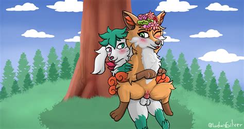 Rule 34 Animal Genitalia Animal Penis Blush Canine Genitalia Canine