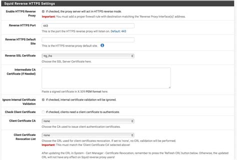 Reverse Proxy With Pfsense And Squid Travelling Tech Guy