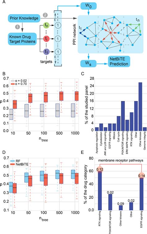 Ic50 Drug Sensitivity Prediction With Netbite For A Panel Of 50 Drugs Download Scientific