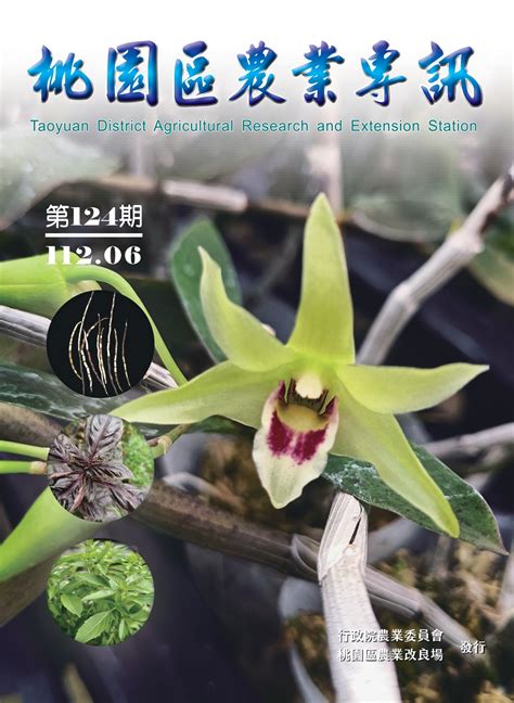 農業部桃園區農業改良場 第124期桃園區農業專訊出刊了 精選文章 目錄： 🤩北部地區高粱生產概況與面臨之挑戰