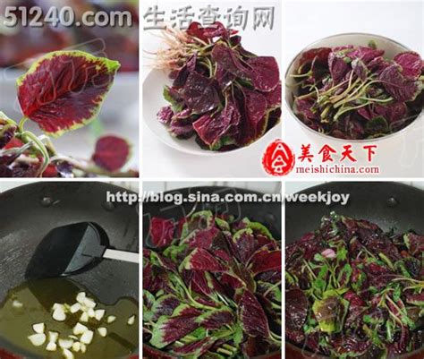马家菜 马食菜 第3页 大山谷图库
