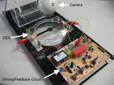 Experimental Setup For Leakage Current Testing Download Scientific Diagram