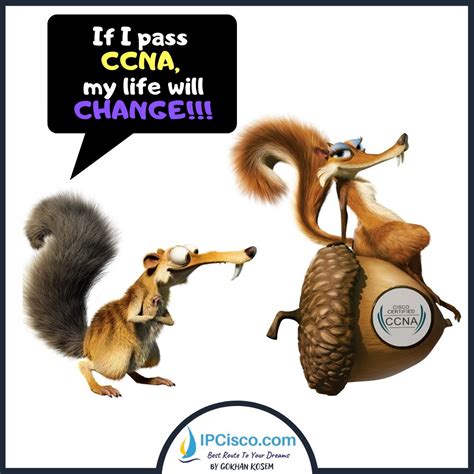 On Linkedin Network Networking Cisco Ccna