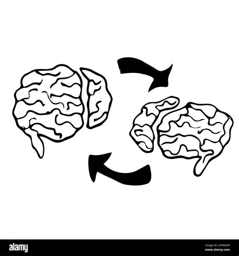 Brain Synchronization Sketch Icon Vector Hand Drawn Doodle Line Art Brain Synchronization Sign