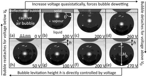 Experimental Images Demonstrating How Dielectrophoresis Force Provide