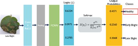 Illustration Of The Softmax Process With Output That Does Not Match The Download Scientific