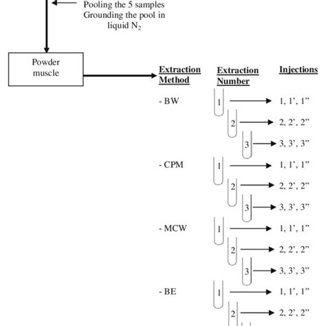 Muscle Sample Preparation And Different Methods Of Extraction For Download Scientific Diagram