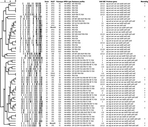 Dendrogram Of Pfge Patterns For Mrsa Isolates Generated By Upgma Download Scientific Diagram