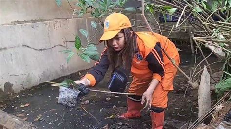 Kisah Pepy Petugas Ppsu Berparas Cantik Dari Ancol Rela Kerja Kasar