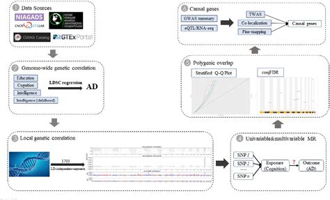 figure 1 from integration of multiple omics data to reveal the shared