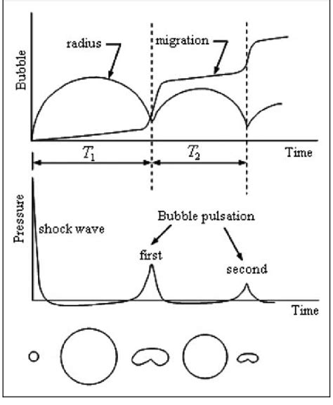 Typical Bubble Pulsation Migration And Free Field Pressure History T Download Scientific