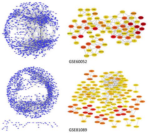 Graph Based Feature Selection For Reduction Of Dimensionality In Next Generation Rna Sequencing