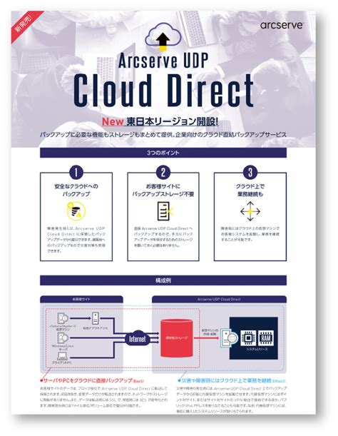 Arcserve UDP Cloud Direct BP Platinum