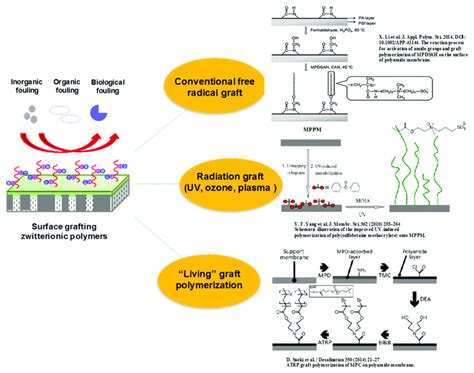 Representative Not Comprehensive Summary Of Surface Grafting Download Scientific Diagram