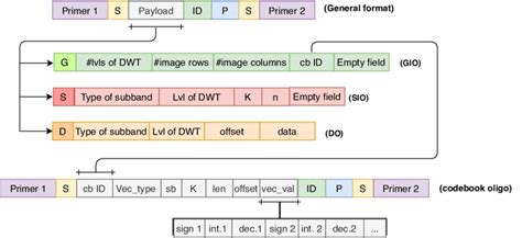 3 Proposed Oligo Formatting For A Compression Workflow That Uses A Dwt