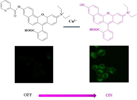 A Colorimetric And Long‐wavelength Turn‐on” Fluorescent Probe For