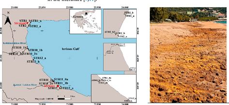 Figure 1 From In Situ Radioactivity Maps And Trace Metal Concentrations In Beach Sands Of A