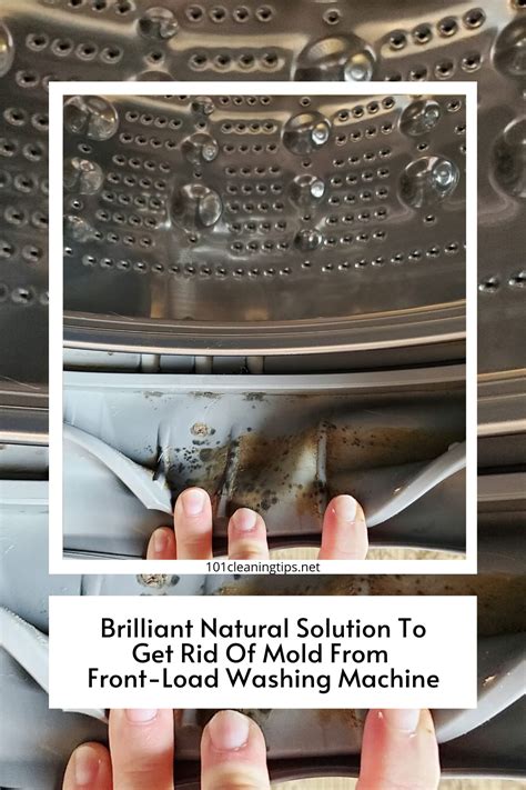How To Get Rid Of Mold In A Front Loader Washing Machine At Mary Reilly