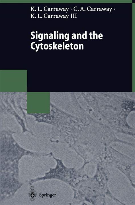 Signaling And The Cytoskeleton 9783662129951 Medicine And Health