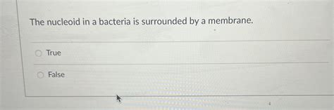 Solved The Nucleoid In A Bacteria Is Surrounded By A