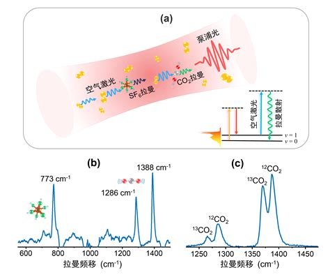 上海光机所“超快强光场驱动的空气激光研究”项目荣获2022年度上海市自然科学奖一等奖 中国科学院上海分院