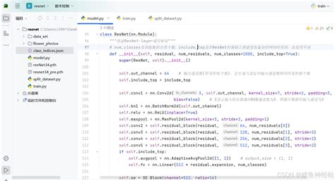 【day8 代码】pytorch缝合模块之resnet和se注意力模块，以及修改模型后如何加载预训练权重pytorch Resnet 预训练