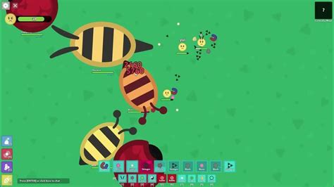 Garden Maze Timelapse Youtube