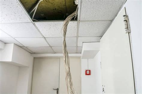 Removing Drop Ceiling In Basement Homely Baron