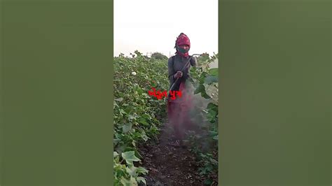 Ek Match Mein Patko Marwadi Sex Marwadi Naye Sarkar Karodon Rupya Aapke Short Viral Video