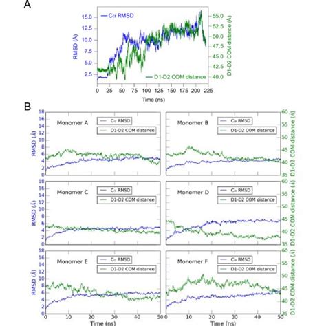 Structural Classification And Phylogenetic Reconstruction Of The Snare