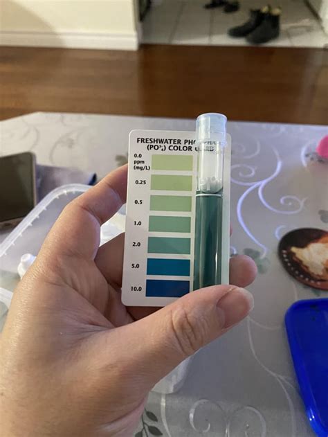 Phosphate Levels R Aquariums