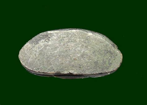 พระกริ่งพระพุทธโสธร วัดโสธรฯ พิมพ์หน้าเล็ก เนื้อทองเหลือง ปี2500 จ