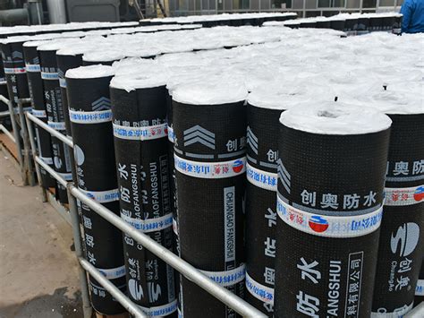山东亚德防水材料有限公司sbs 高分子自粘 耐根穿刺 非沥青基防水卷材防水涂料