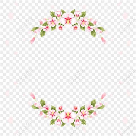 손으로 그린 스타일 히비스커스 꽃 일러스트 요소꽃다발식물 Png 일러스트 무료 다운로드 Lovepik