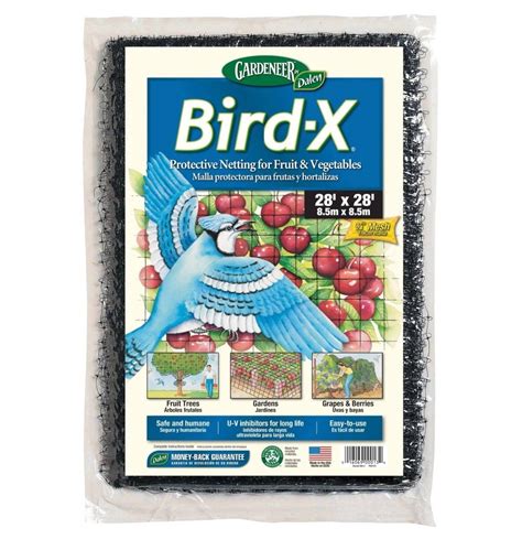 Bird Net X Garden Adventures Nursery