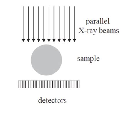 Ct Imaging A Draw The Ct Projection Obtained From