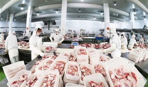 Өвөр Монголын Баян Нуур хот эрчимжсэн хөдөө аж ахуй хөгжүүлж байна